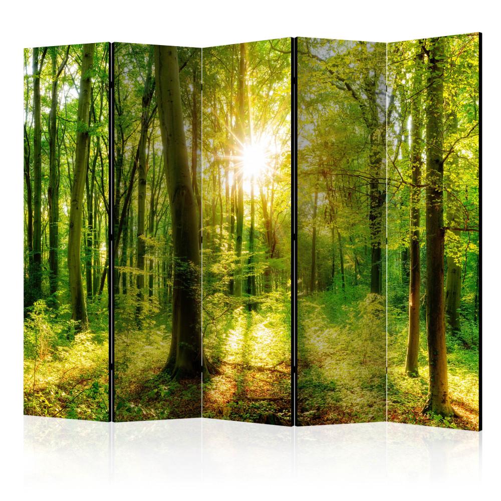 Room Divider Screen Rays of the Forest II - landscape of forest ...